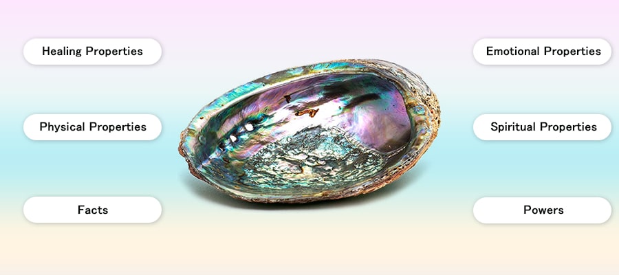 An Ultimate Guide to Abalone Shell and Its Properties, Uses