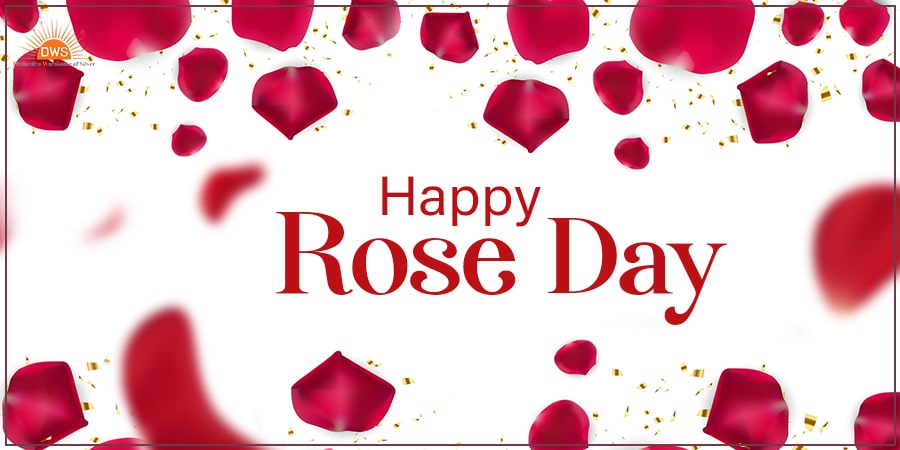 Plan the Perfect Rose Day Celebration: Tips and Ideas!