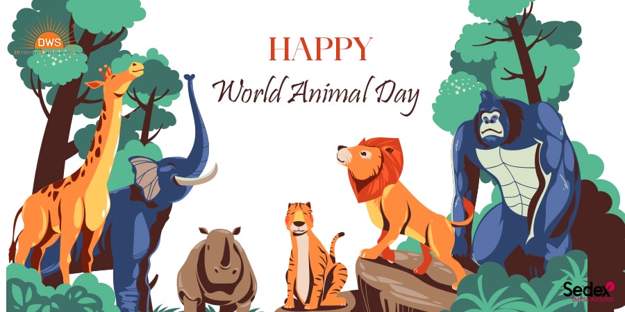 World Animal Day: Advocating for Our Furry Friends